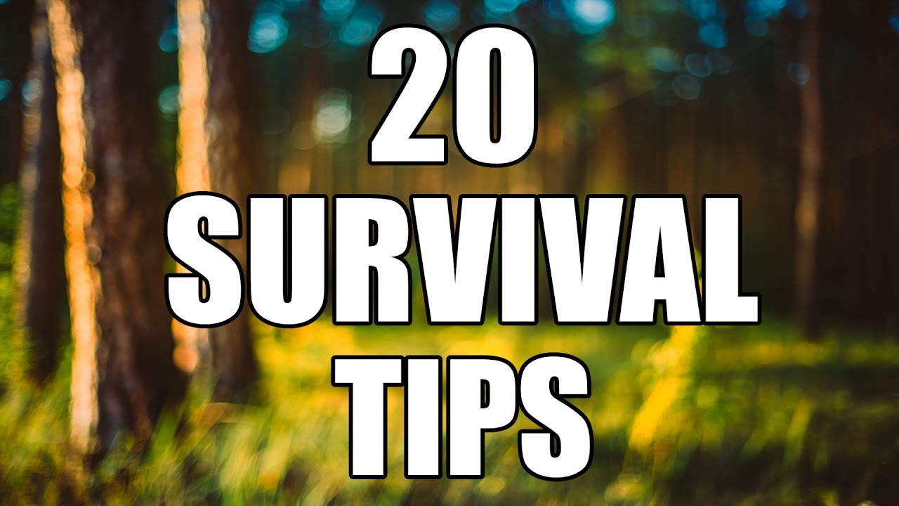 20 Wilderness Survival Tips! - SurvivalRelated