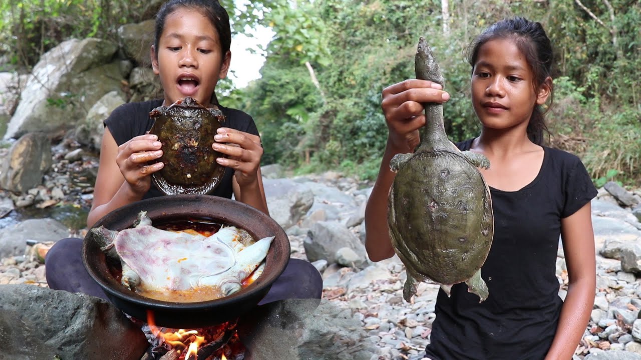 Find meet Turtle for Food forest - Turtle curry with Chili for Food ...