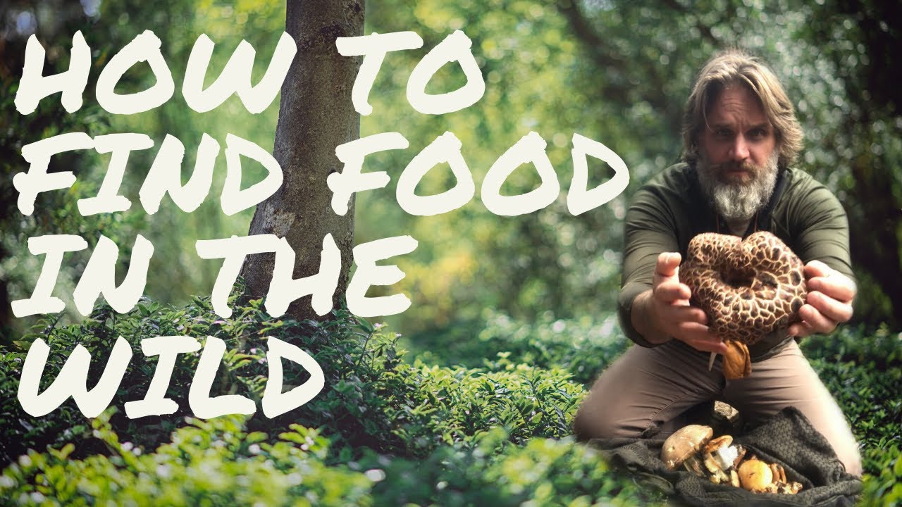 How to Find Food in the Wild - SurvivalRelated