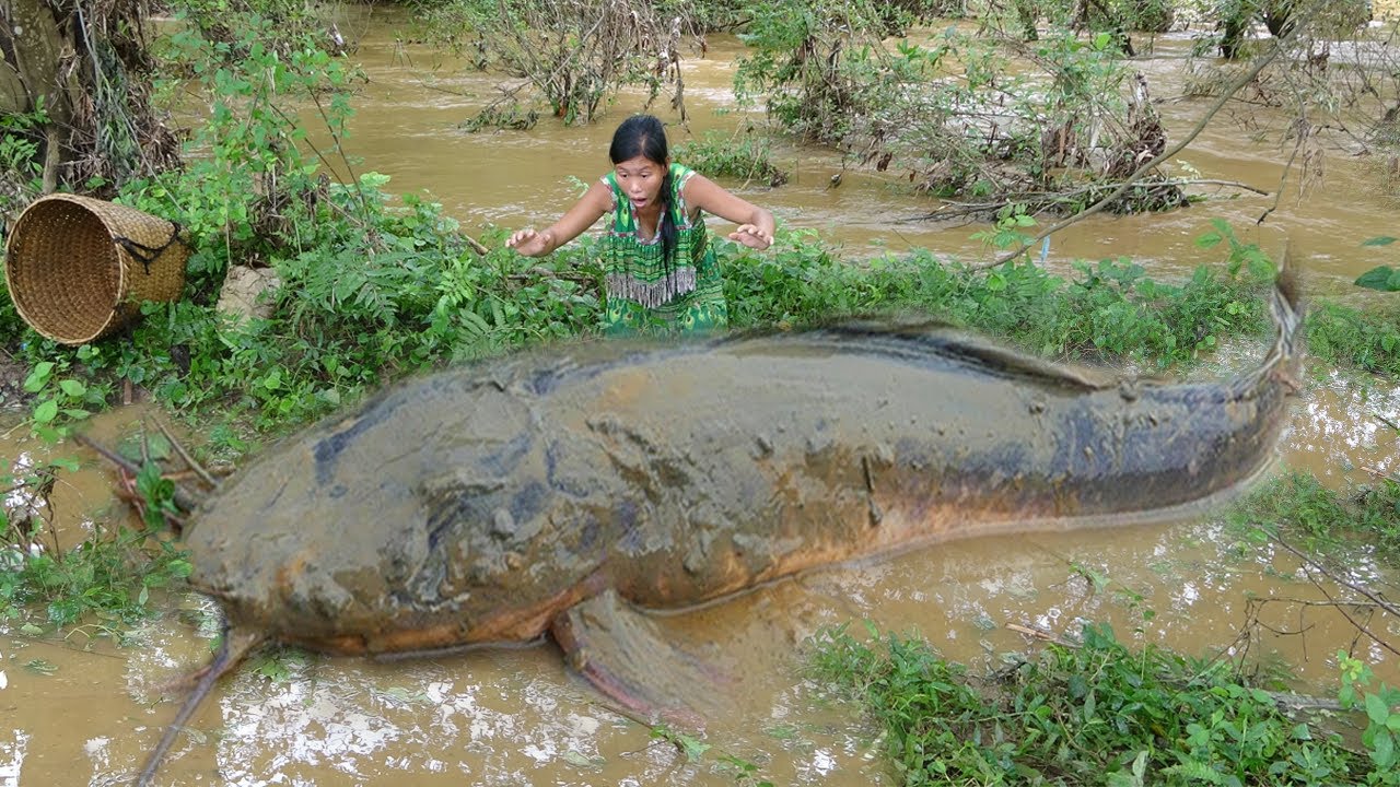 Survival Skills Hand Fishing: Smart Human meet big catfish by Primitive ...