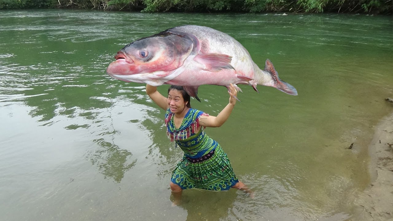 Wild survival meet big bighead Carp - Catch biggest giant fish at river ...