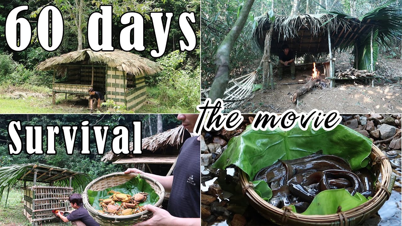 60 Day Survival Challenge | Survival Alone In The Rainforest ...