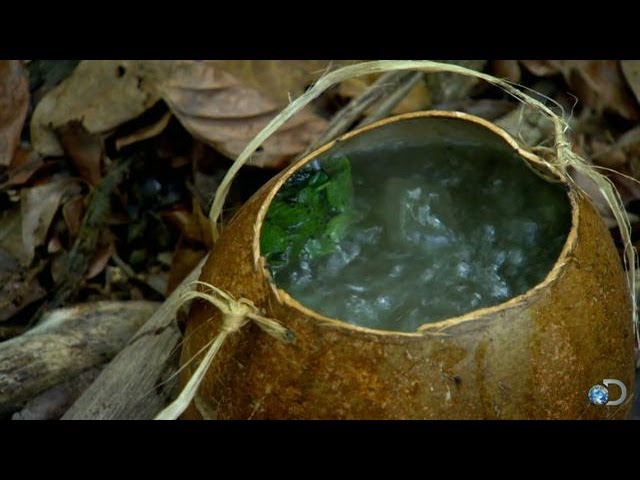 DIY Survival: Brewing Tea in the Jungle | Dual Survival - SurvivalRelated