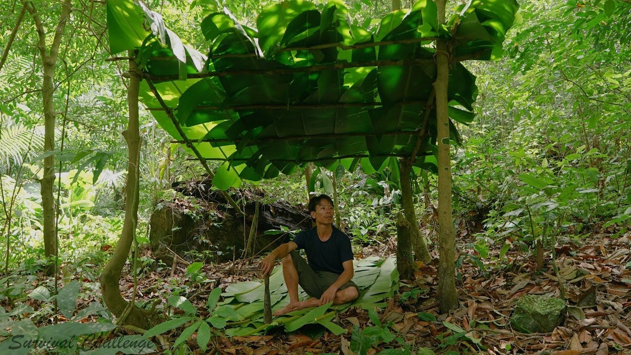 Survival Skill - Survival Challenge - Building A Tent In The Forest ...