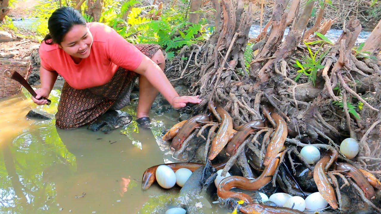 survival in forest - Women Catch Eel at river for dog & Cook Eel witch ...