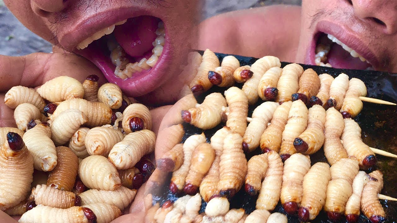 Primitive Culture: Survival Cooking Coconut Worms on a Rock for Lunch ...